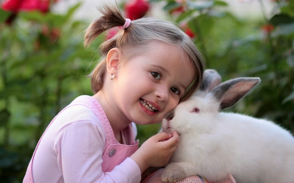 Hasen kennenlernen | Informationen und Malvorlagen für Kinder